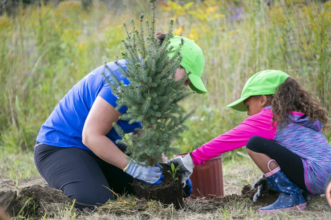 national tree day planting - Creatively United Community