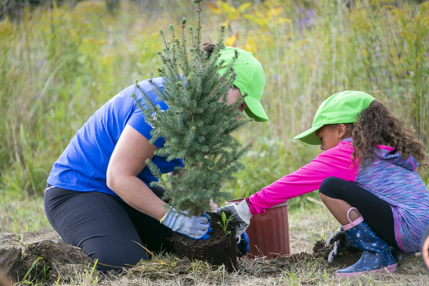 National Tree Day A Meaningful Way To Reflect On The Positive Impact 